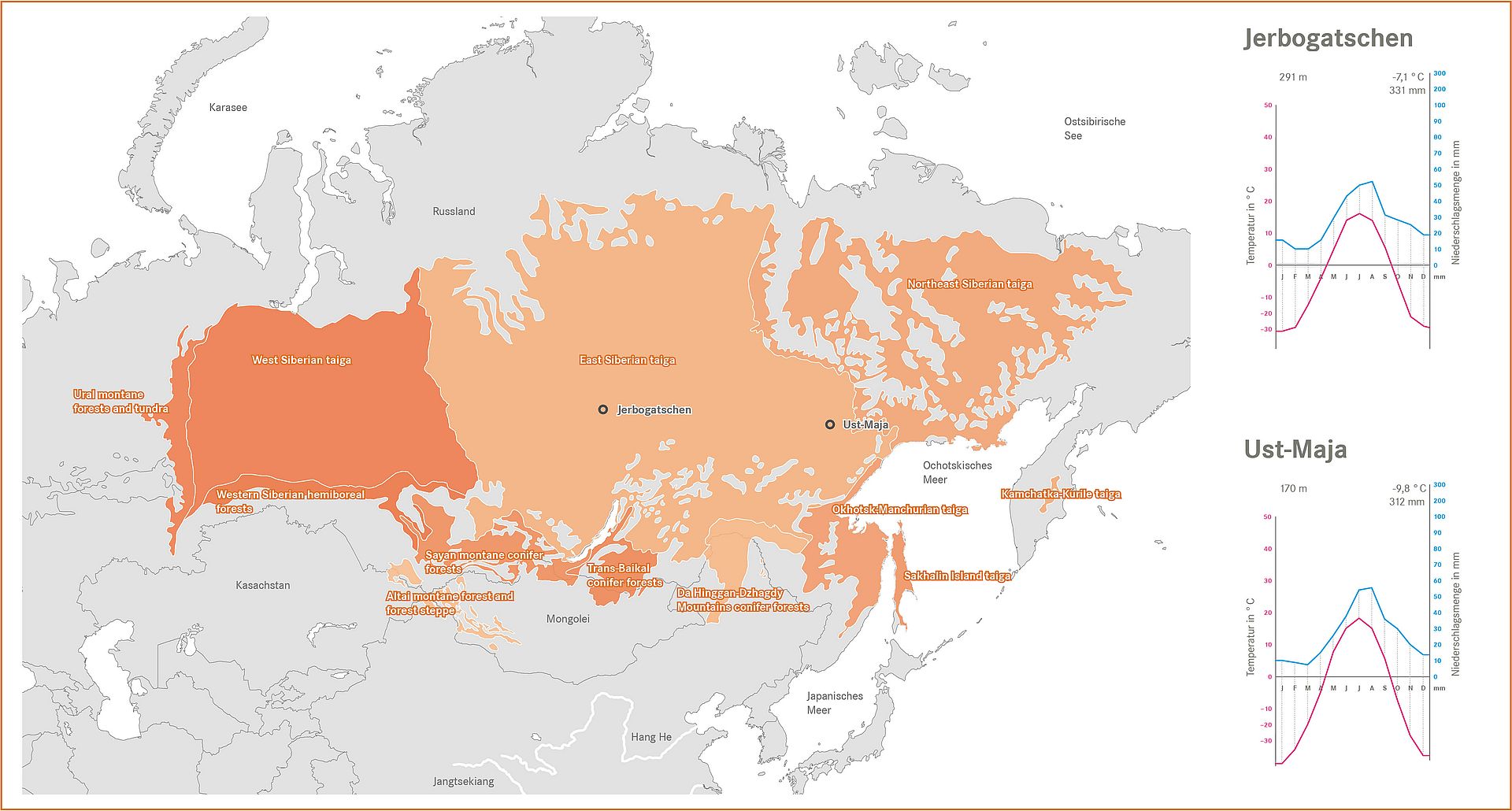 Sibirien - Boreale Zone | Weltwald Freising